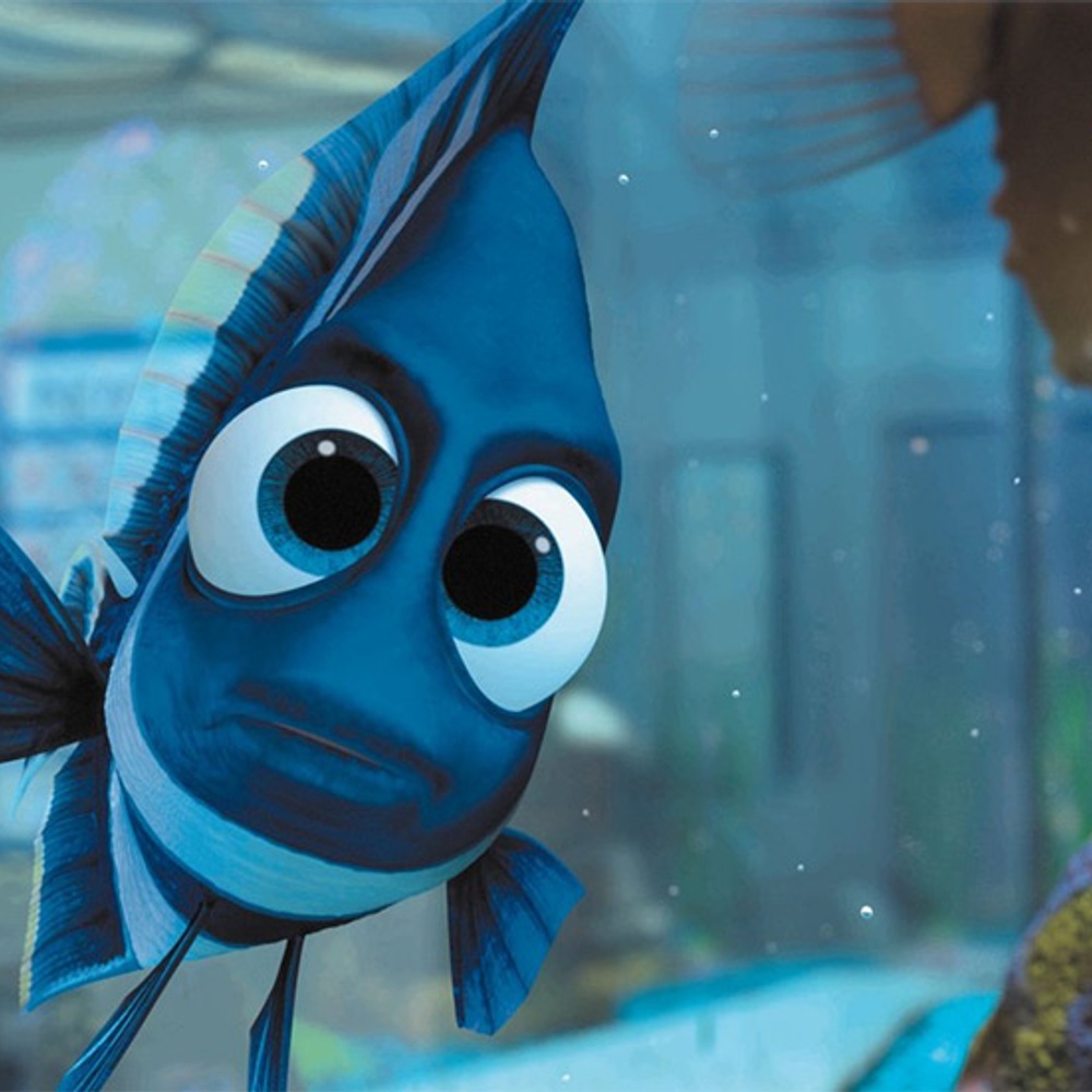 TROUVER NÉMO (2003) - Film - Cinoche.com