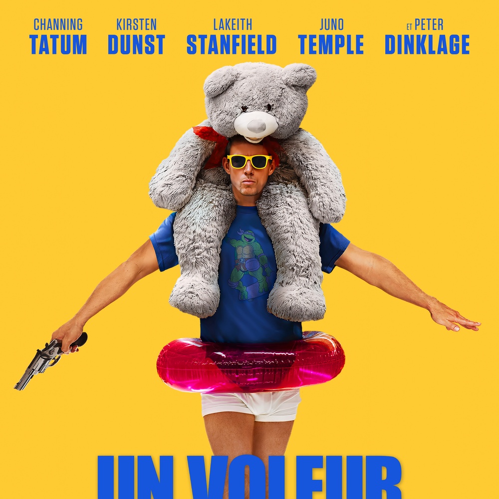 UN VOLEUR SUR LE TOIT (2025) - Film - Cinoche.com