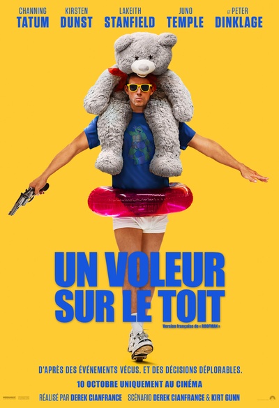 UN VOLEUR SUR LE TOIT (2025) - Film - Cinoche.com